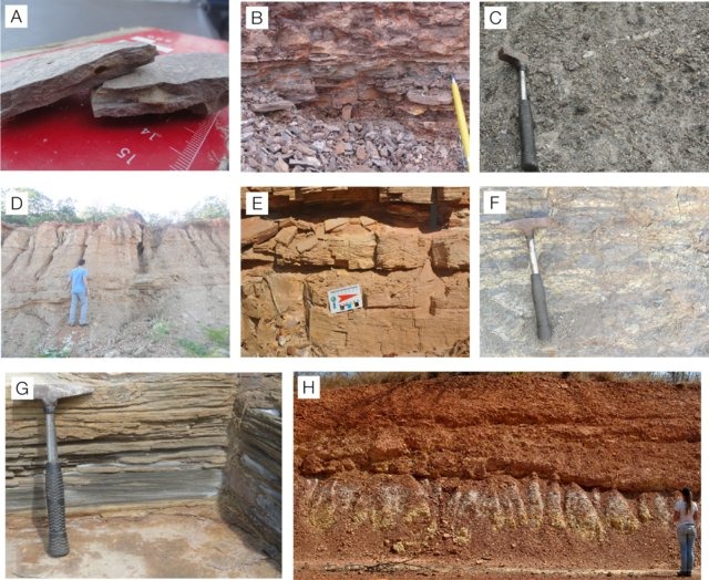 Forensic Paleontology: fundamentals and contemporary field of work ...